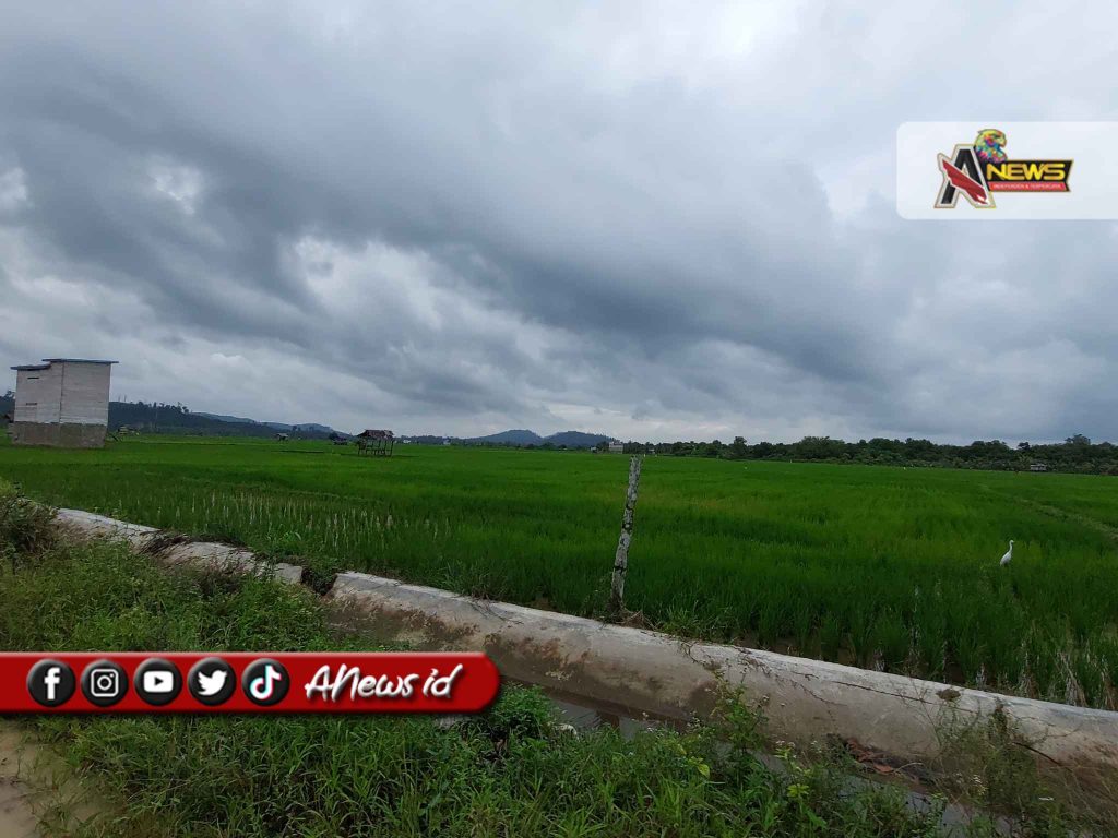30 Hektar Sawah di Buyung-Buyung Sudah Teraliri Pasokan Air dari RJIT ...