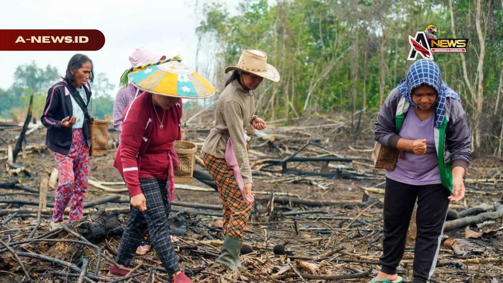 Tradisi Manugal Suku Dayak, Wisata Kearifan Lokal - A News