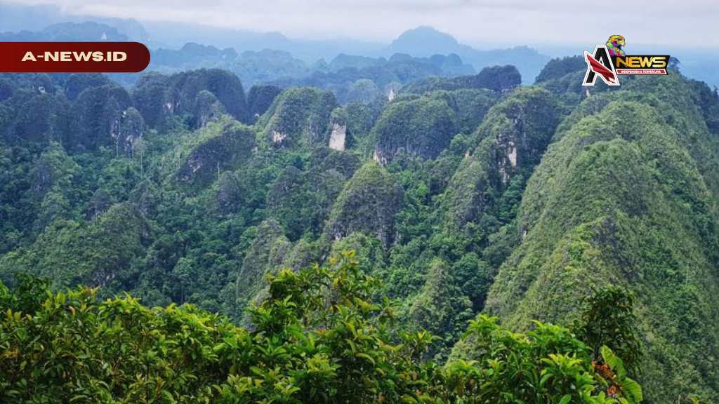 Karst Berau Jadi Geopark Pertama di Kaltim - A News